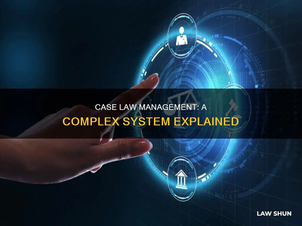 Case Law Management: A Complex System Explained | LawShun