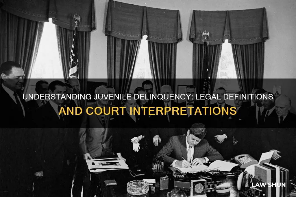 Understanding Juvenile Delinquency: Legal Definitions And Court ...