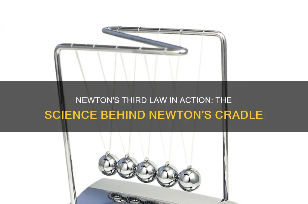 Newton's Third Law In Action: The Science Behind Newton's Cradle | LawShun