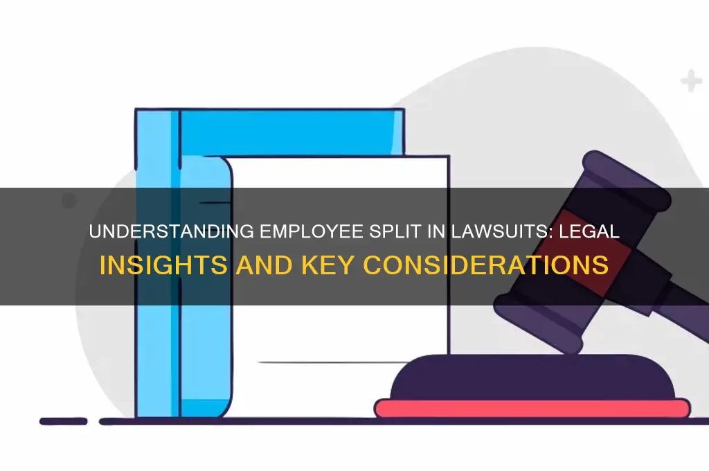 Understanding Employee Split In Lawsuits: Legal Insights And Key ...