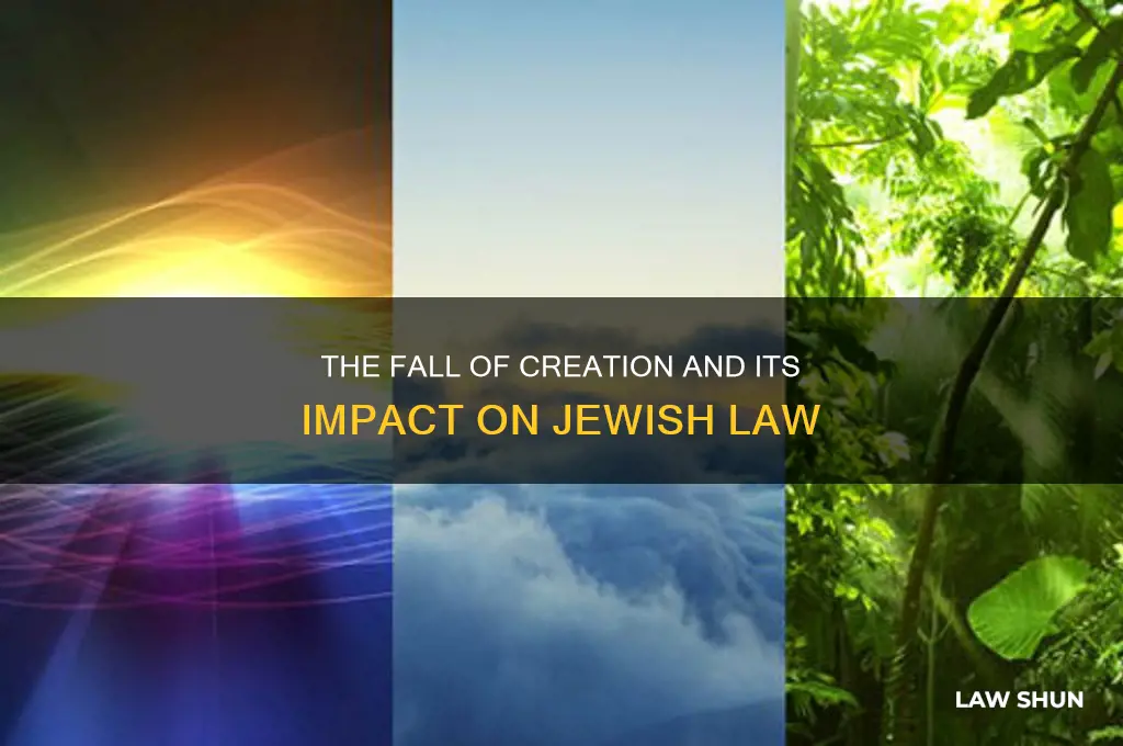 The Fall Of Creation And Its Impact On Jewish Law | LawShun
