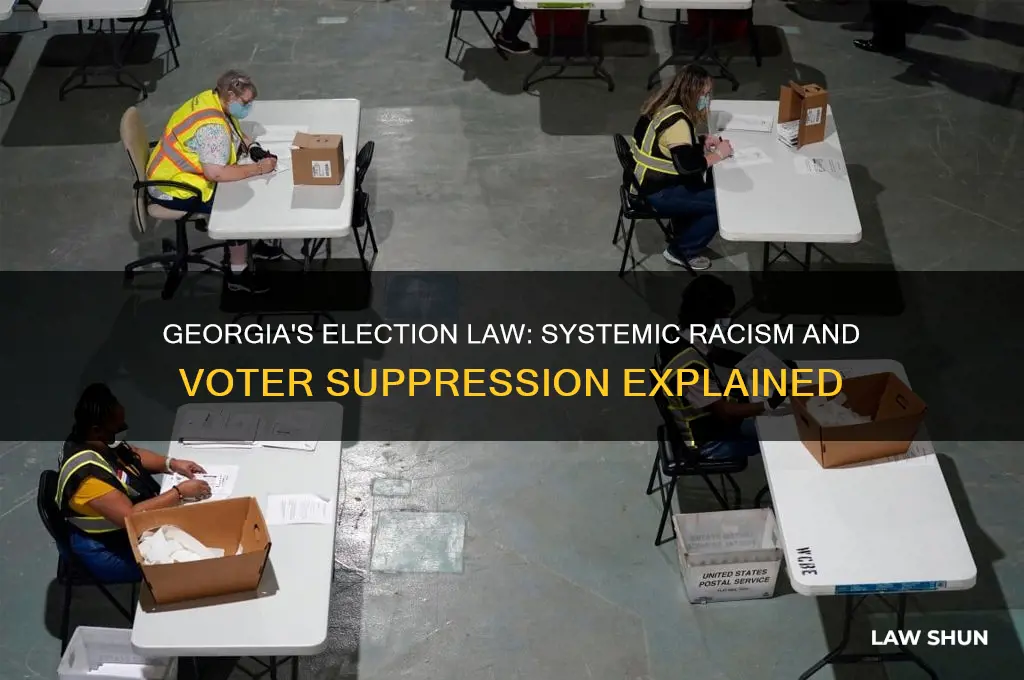 Georgia's Election Law: Systemic Racism And Voter Suppression Explained ...