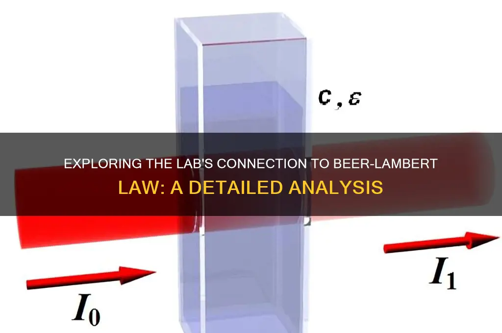 Exploring The Lab's Connection To Beer-Lambert Law: A Detailed Analysis ...
