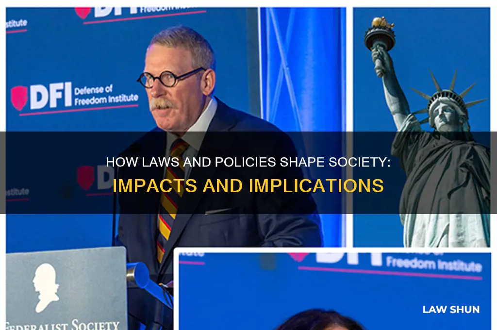 How Laws And Policies Shape Society: Impacts And Implications | LawShun