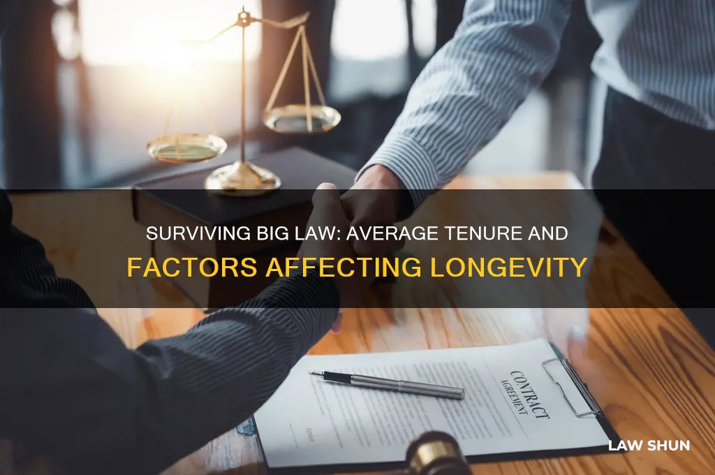 Surviving Big Law: Average Tenure And Factors Affecting Longevity | LawShun