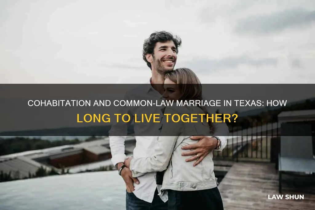 Cohabitation And Common-Law Marriage In Texas: How Long To Live ...