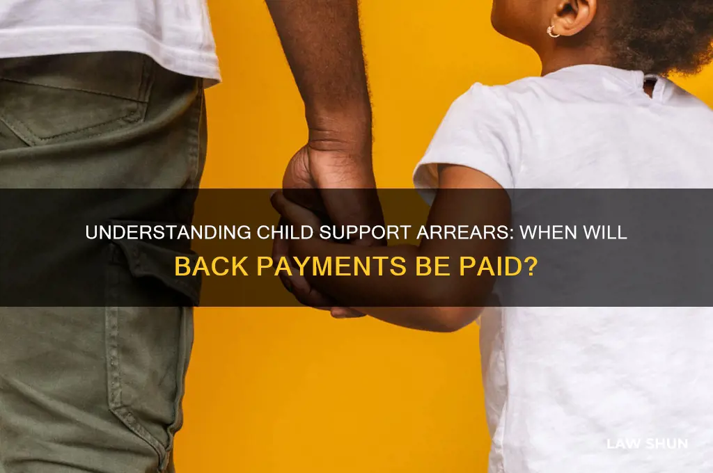 Understanding Child Support Arrears: When Will Back Payments Be Paid ...