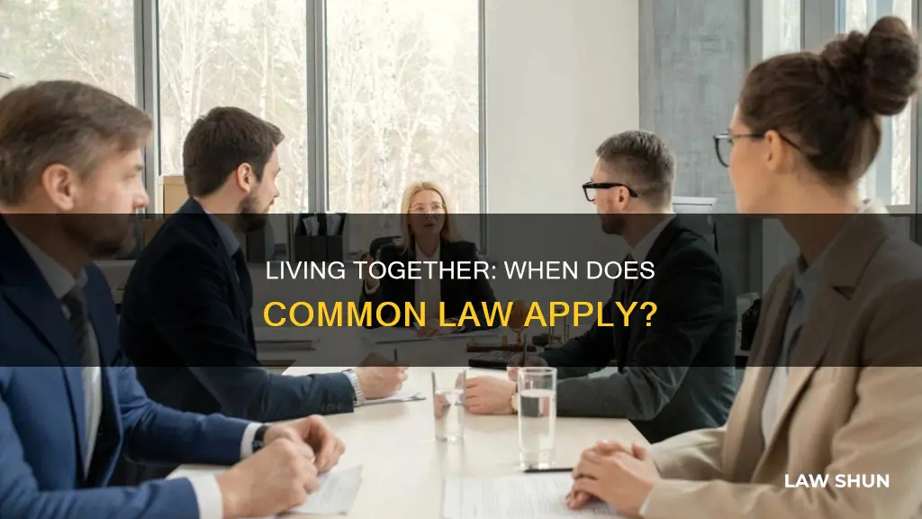 Living Together: When Does Common Law Apply? | LawShun