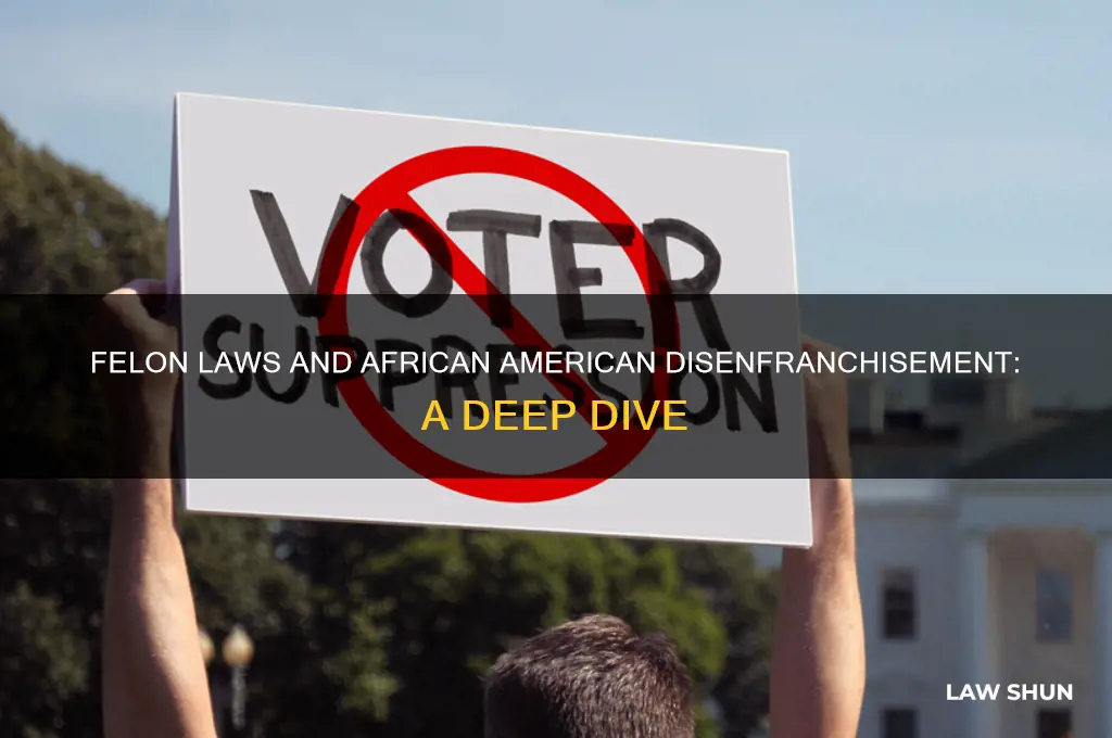 Felon Laws And African American Disenfranchisement: A Deep Dive | LawShun