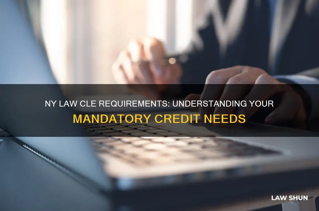 Ny Law Cle Requirements: Understanding Your Mandatory Credit Needs ...