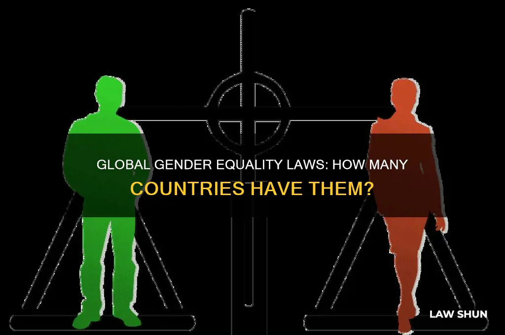 Global Gender Equality Laws: How Many Countries Have Them? | LawShun