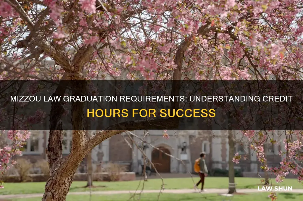 Mizzou Law Graduation Requirements: Understanding Credit Hours For ...