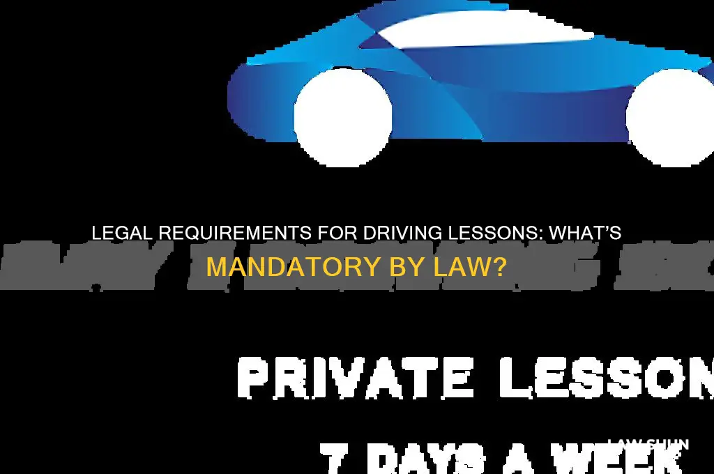 Legal Requirements For Driving Lessons: What’S Mandatory By Law? | LawShun