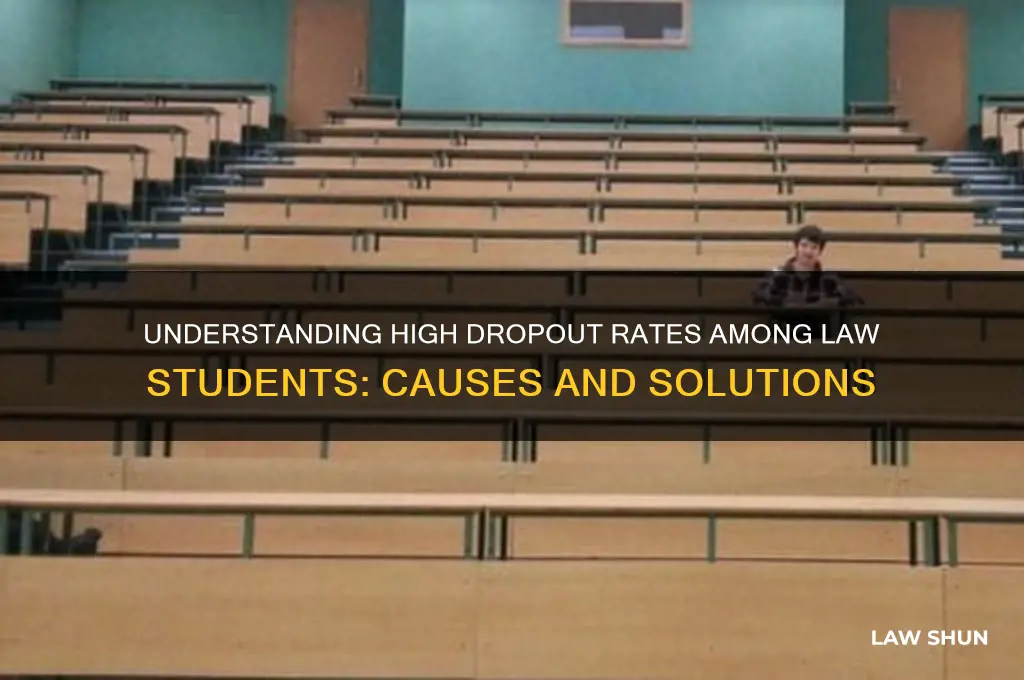 Understanding High Dropout Rates Among Law Students: Causes And ...