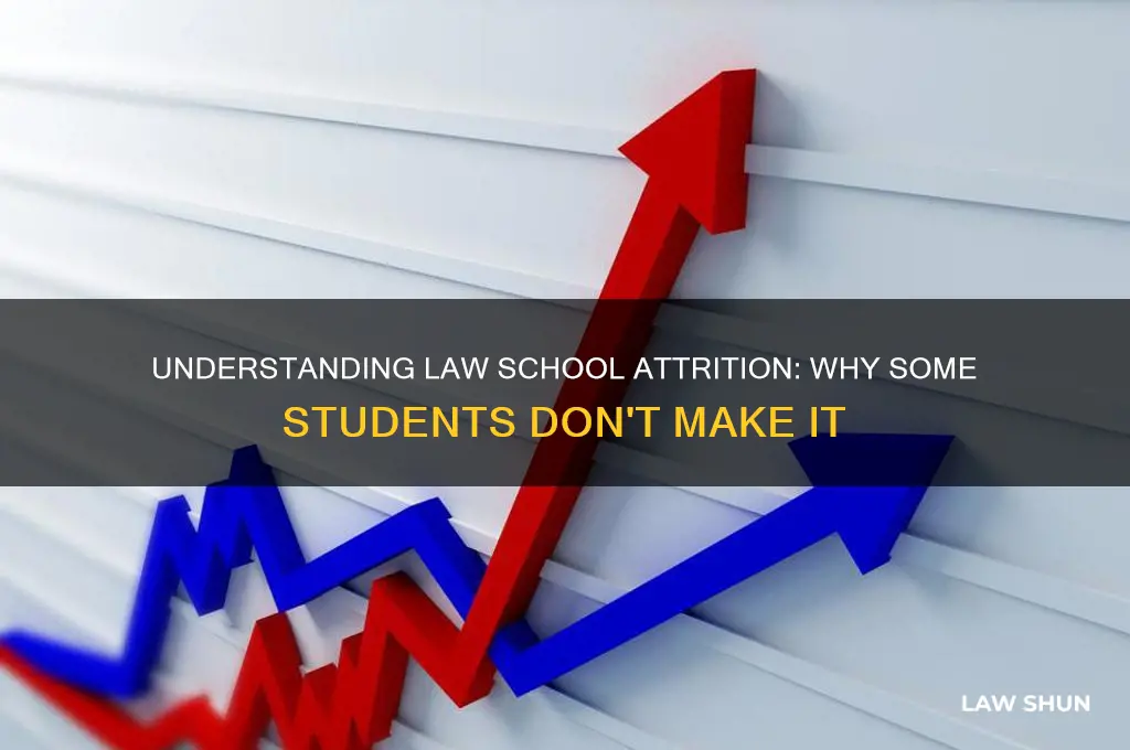 Understanding Law School Attrition: Why Some Students Don't Make It ...