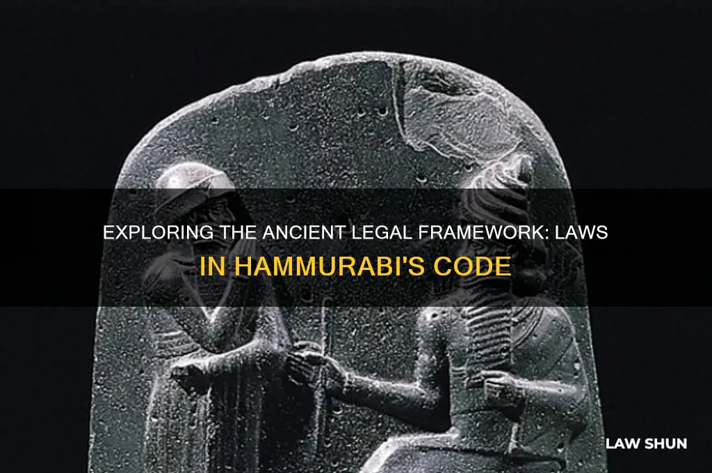 Exploring The Ancient Legal Framework: Laws In Hammurabi's Code | LawShun