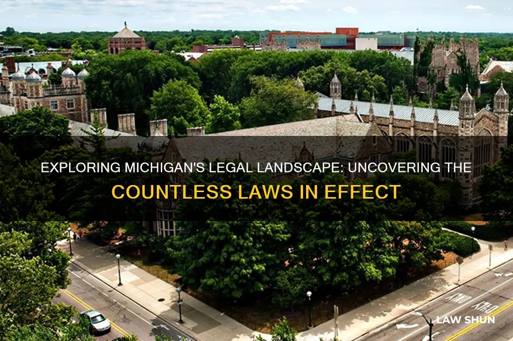 Exploring Michigan's Legal Landscape: Uncovering The Countless Laws In ...