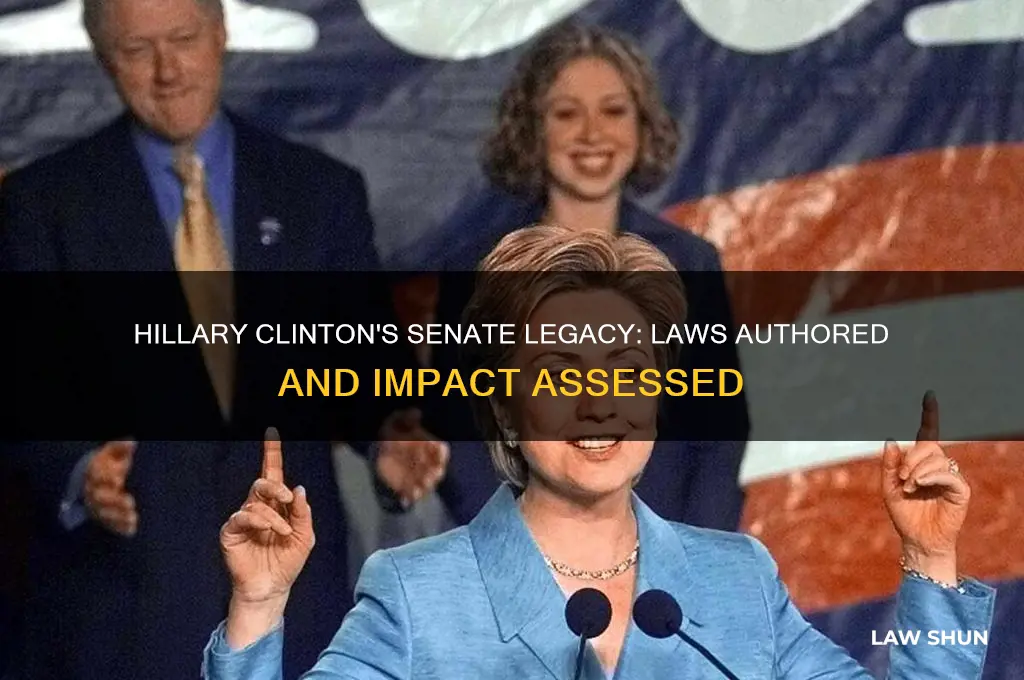 Hillary Clinton's Senate Legacy: Laws Authored And Impact Assessed ...