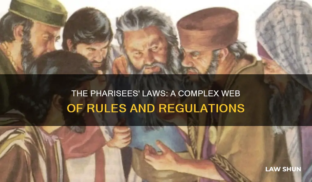 The Pharisees' Laws: A Complex Web Of Rules And Regulations | LawShun