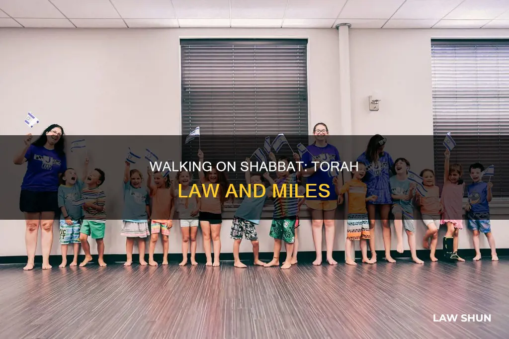 Walking On Shabbat: Torah Law And Miles | LawShun