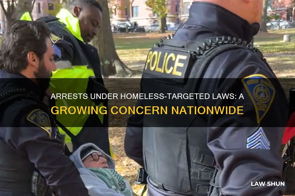 Arrests Under Homeless-Targeted Laws: A Growing Concern Nationwide ...