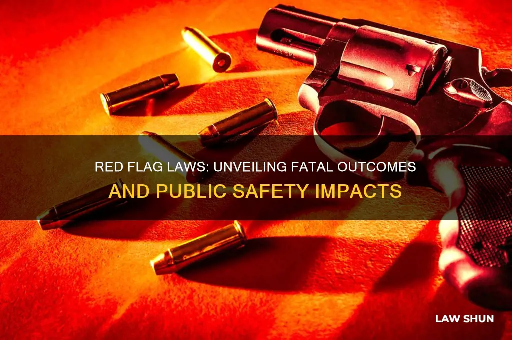 Red Flag Laws: Unveiling Fatal Outcomes And Public Safety Impacts | LawShun