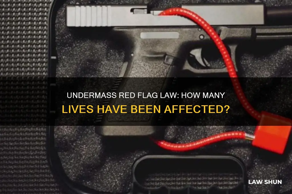 Undermass Red Flag Law: How Many Lives Have Been Affected? | LawShun