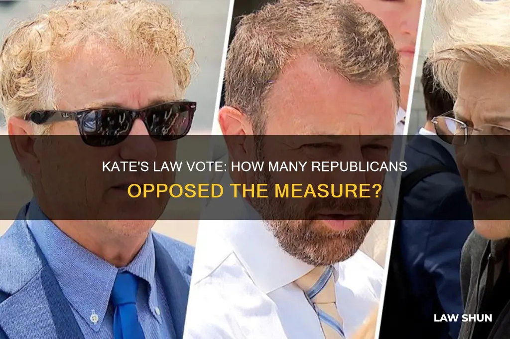 Kate's Law Vote: How Many Republicans Opposed The Measure? | LawShun