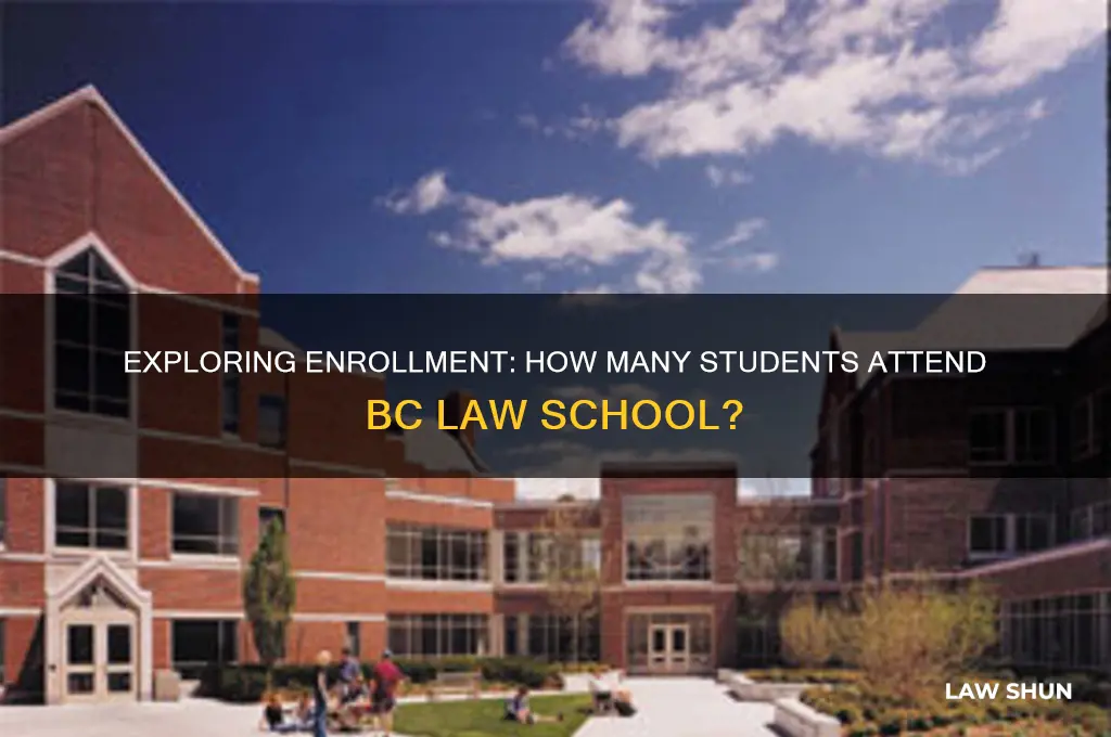 Exploring Enrollment: How Many Students Attend Bc Law School? | LawShun