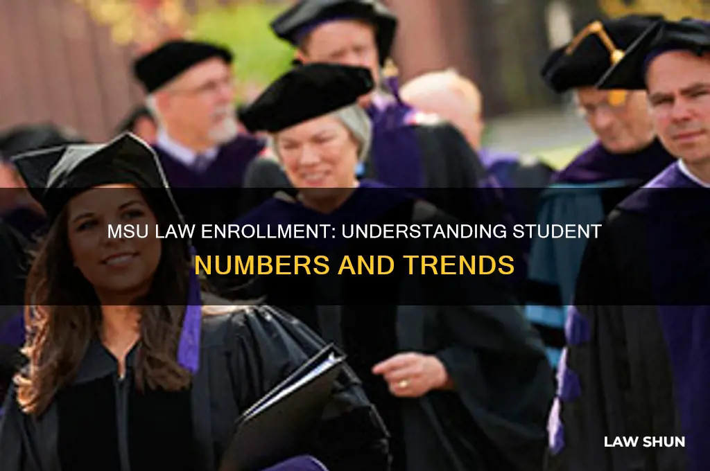 Msu Law Enrollment: Understanding Student Numbers And Trends | LawShun