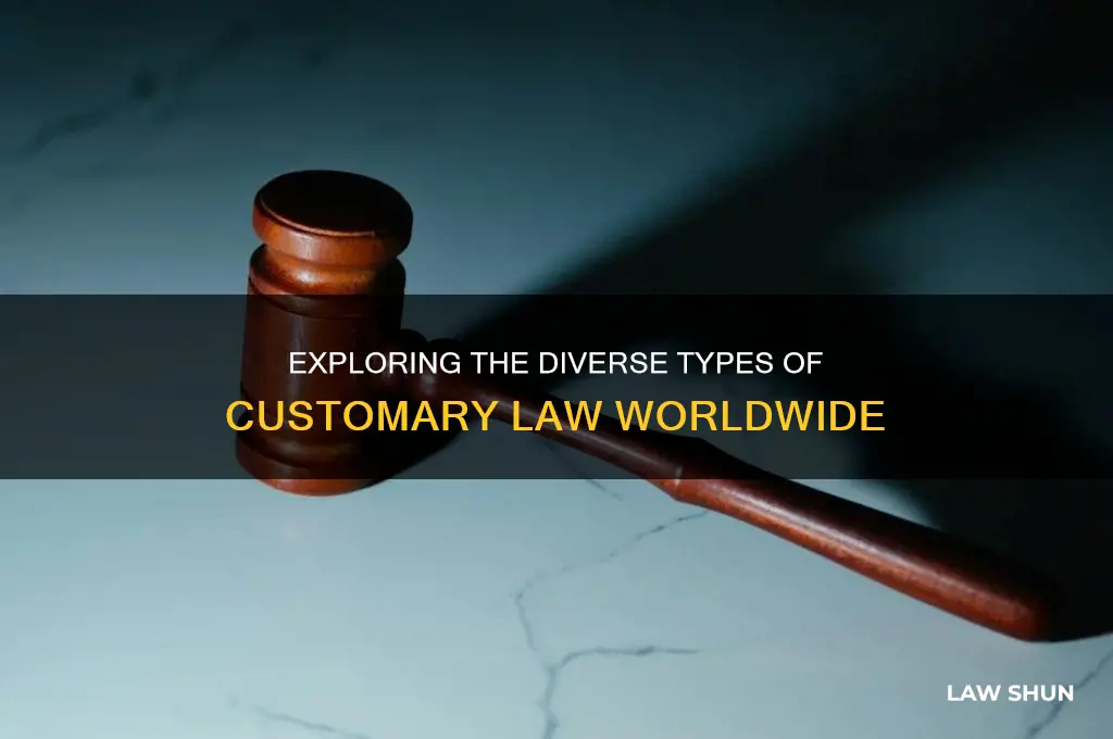 Exploring The Diverse Types Of Customary Law Worldwide | LawShun
