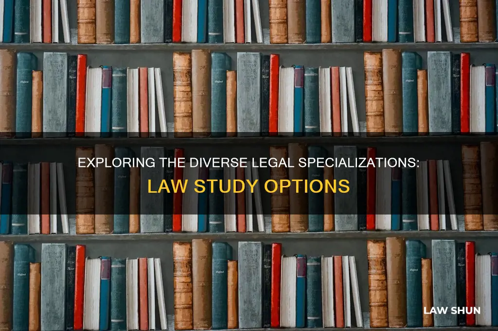 Exploring The Diverse Legal Specializations: Law Study Options | LawShun