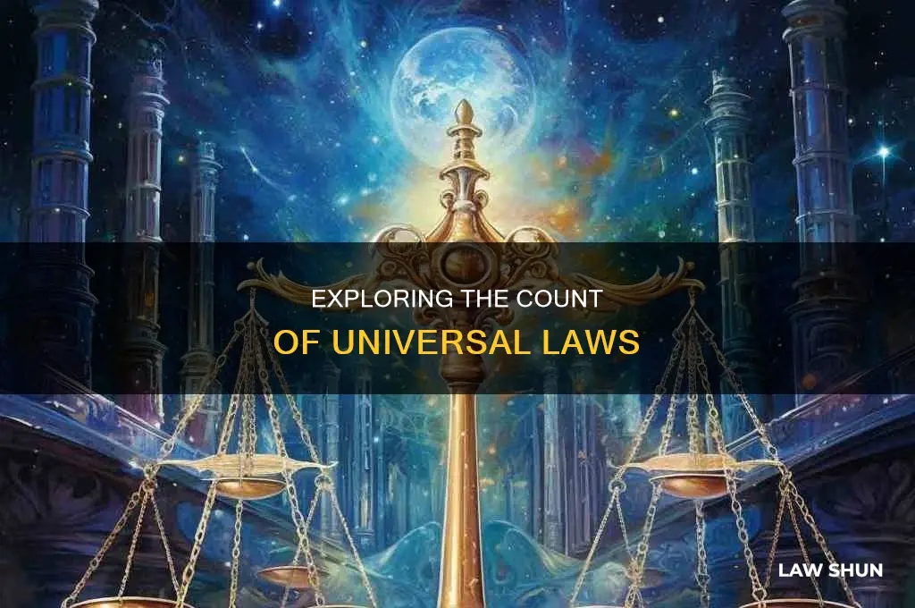Exploring The Count Of Universal Laws | LawShun