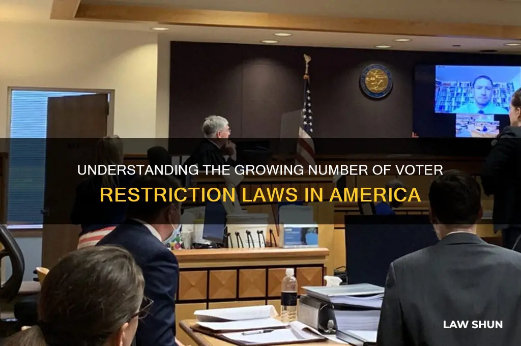 Understanding The Growing Number Of Voter Restriction Laws In America ...