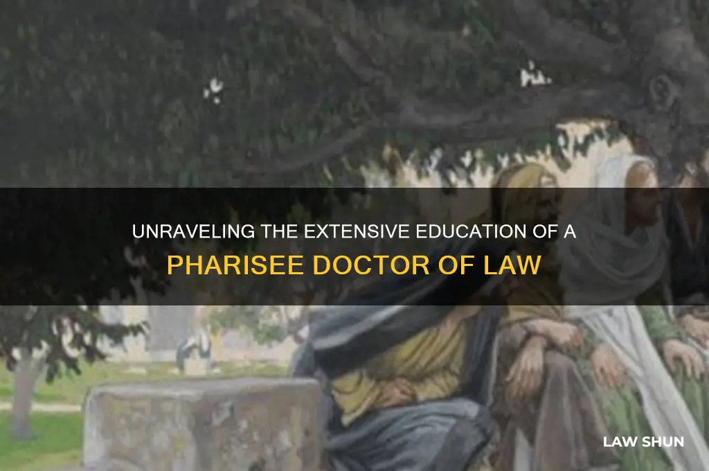 Unraveling The Extensive Education Of A Pharisee Doctor Of Law | LawShun
