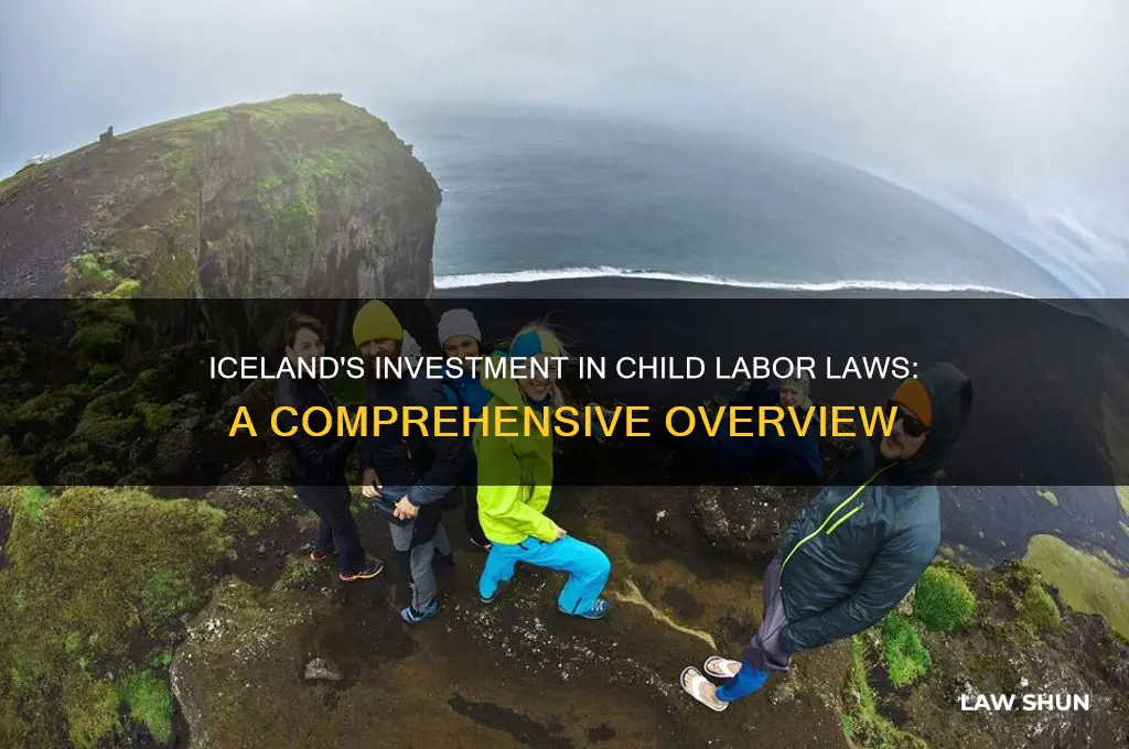 Iceland's Investment In Child Labor Laws: A Comprehensive Overview ...
