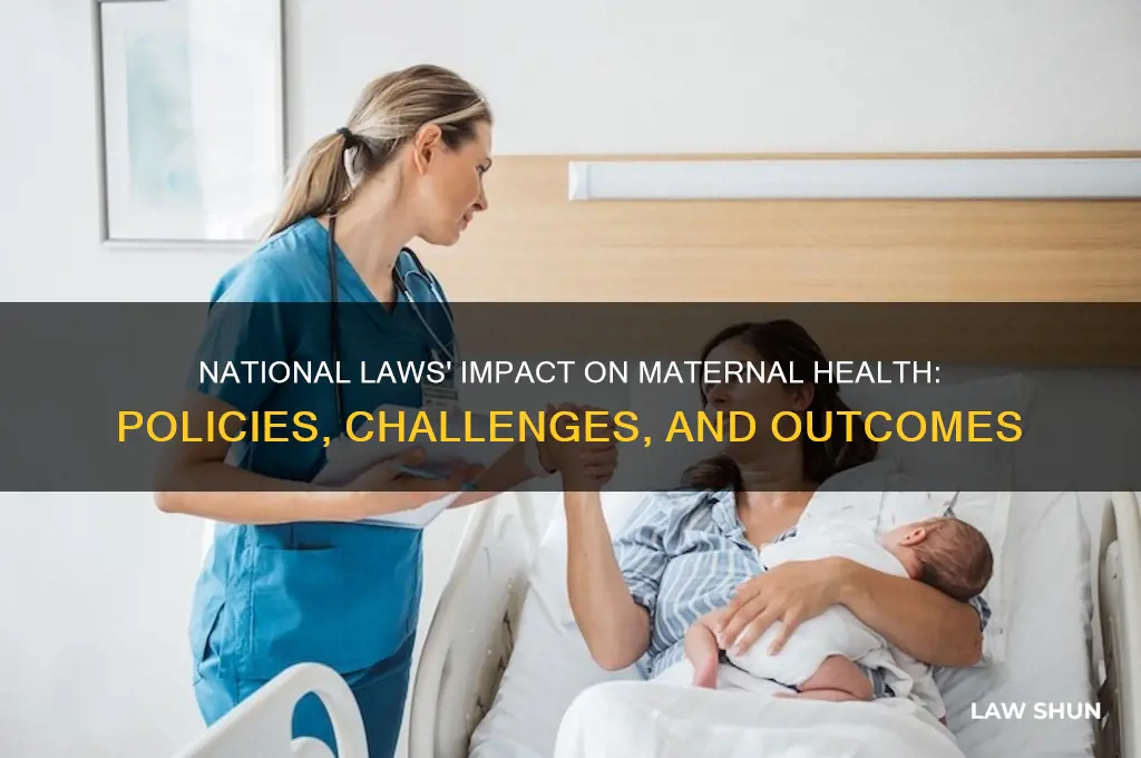 National Laws' Impact On Maternal Health: Policies, Challenges, And ...