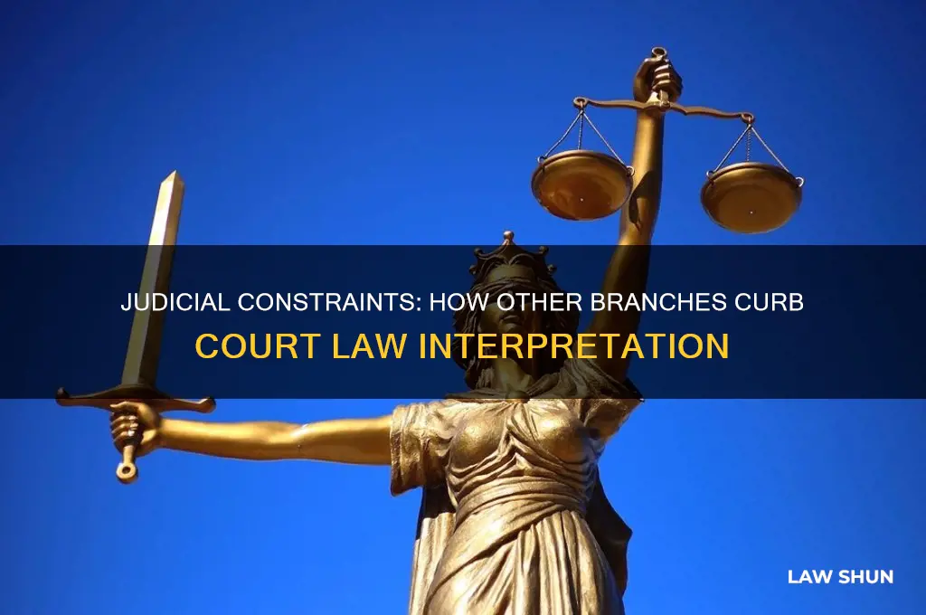 Judicial Constraints: How Other Branches Curb Court Law Interpretation | LawShun