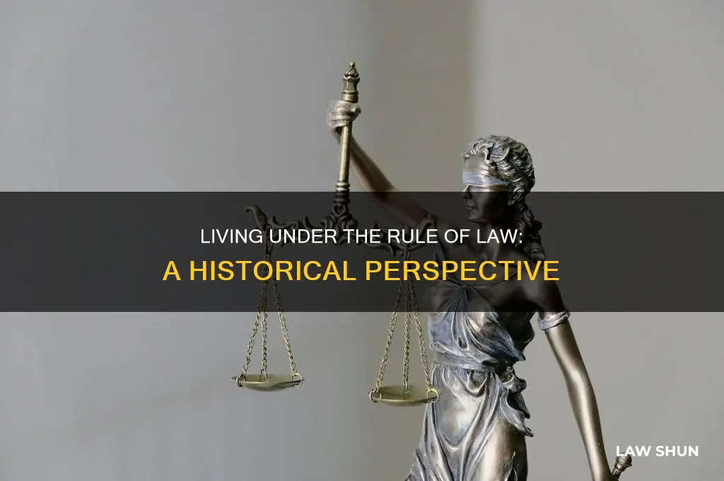 Living Under The Rule Of Law: A Historical Perspective | LawShun