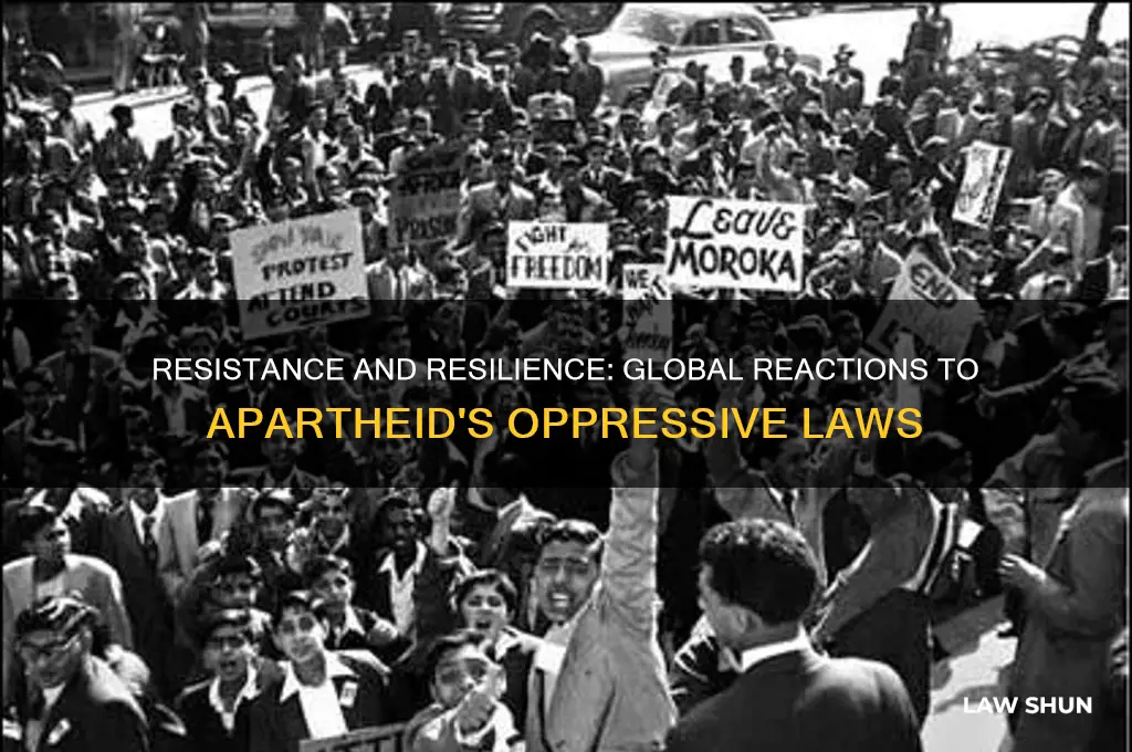 Resistance And Resilience: Global Reactions To Apartheid's Oppressive ...