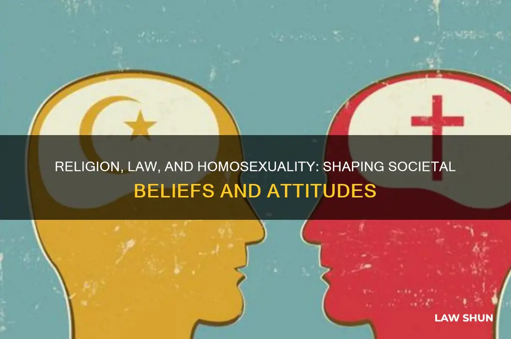Religion, Law, And Homosexuality: Shaping Societal Beliefs And ...
