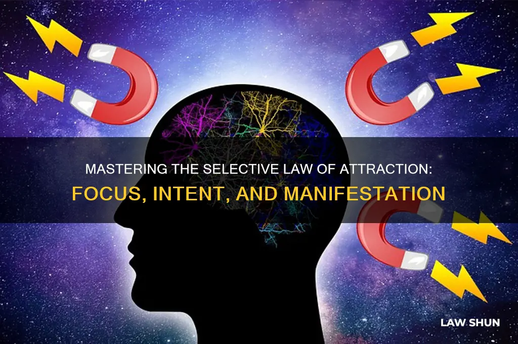 Mastering The Selective Law Of Attraction: Focus, Intent, And ...