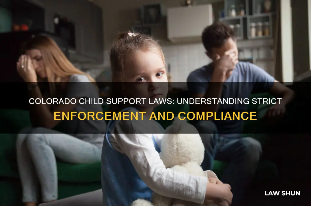 Colorado Child Support Laws: Understanding Strict Enforcement And ...
