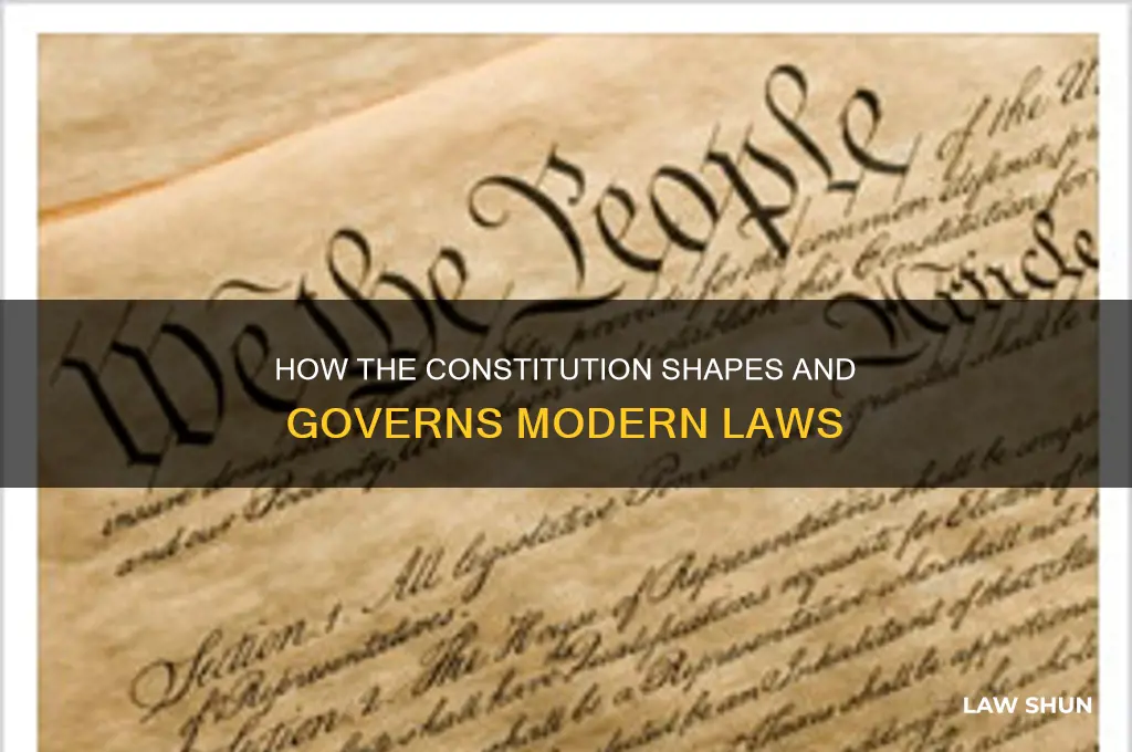 How The Constitution Shapes And Governs Modern Laws | LawShun