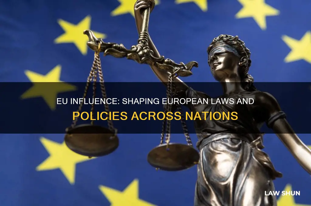 Eu Influence: Shaping European Laws And Policies Across Nations | LawShun