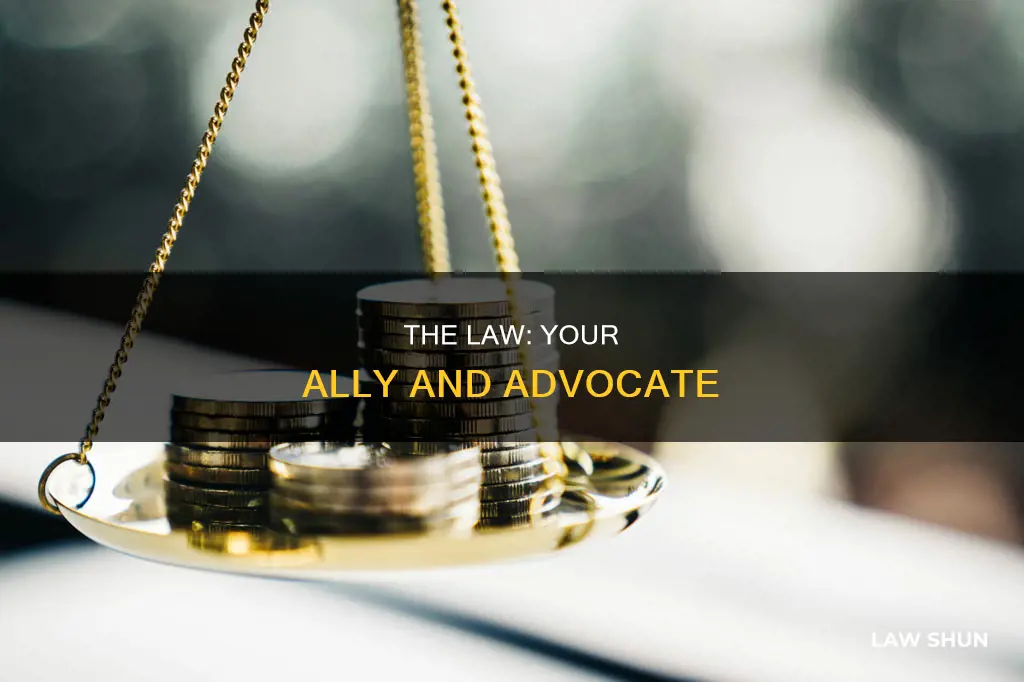 The Law: Your Ally And Advocate | LawShun