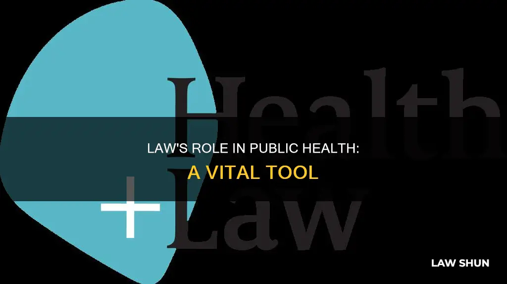 Law's Role In Public Health: A Vital Tool | LawShun