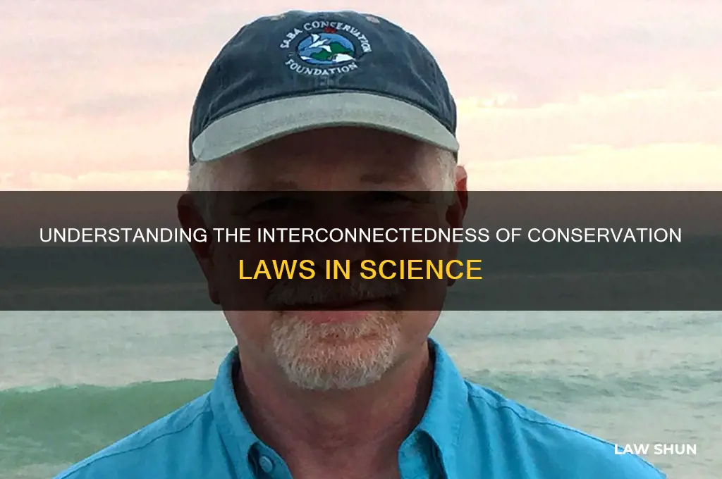 Understanding The Interconnectedness Of Conservation Laws In Science ...