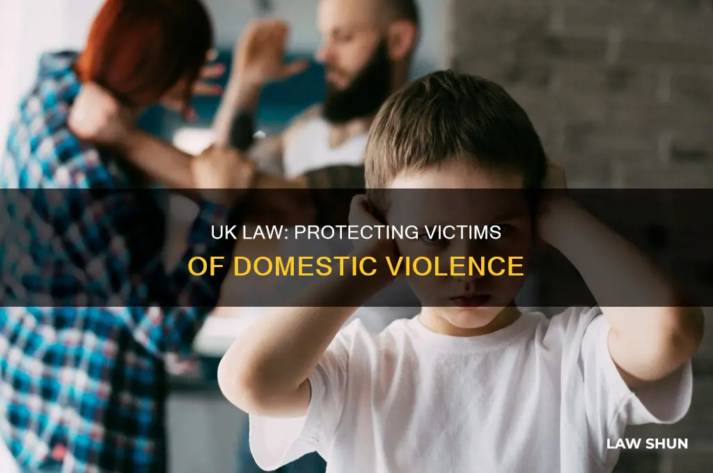 Uk Law: Protecting Victims Of Domestic Violence | LawShun