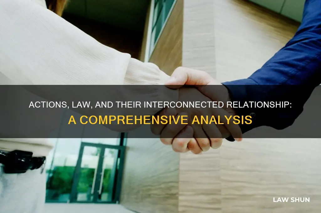 Actions, Law, And Their Interconnected Relationship: A Comprehensive ...